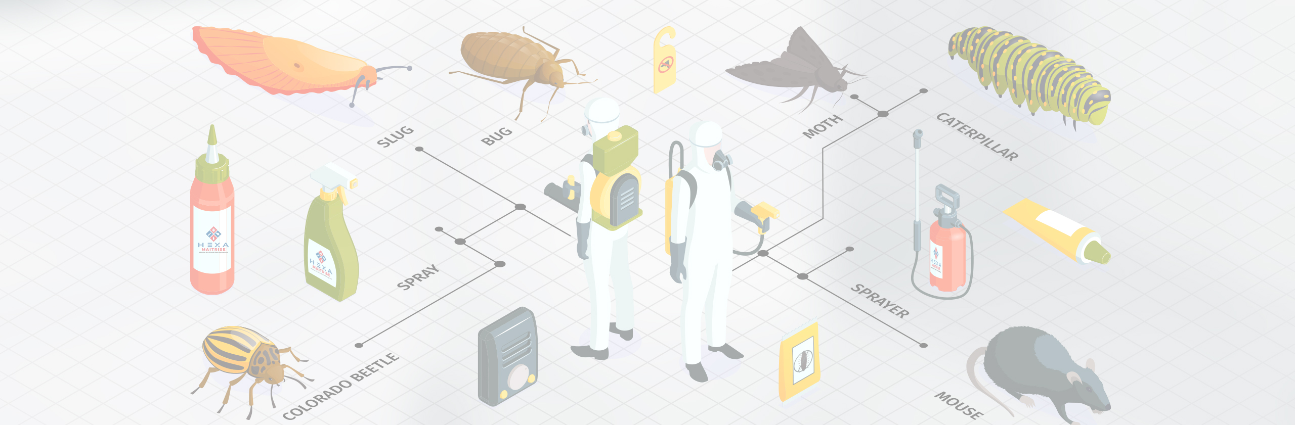 About Us - HEXA MAITRISE PRIVATE LIMITED